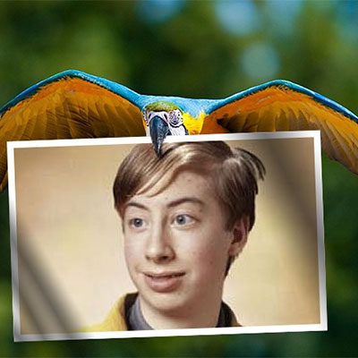 Photo effects. Parrot flying with a photo
