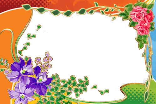 Photo frames. Variety of colors