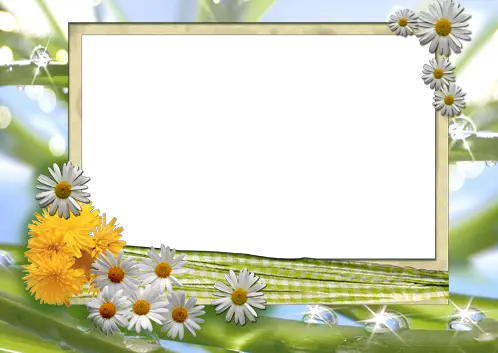 Photo frames. Morning freshness