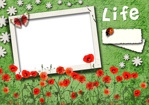 Marcos de fotos. La vida es la vida