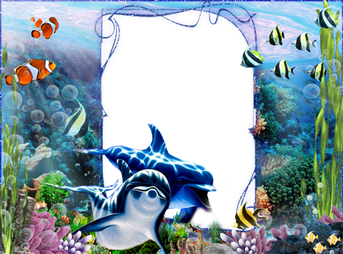 Photo frames. Underwater world