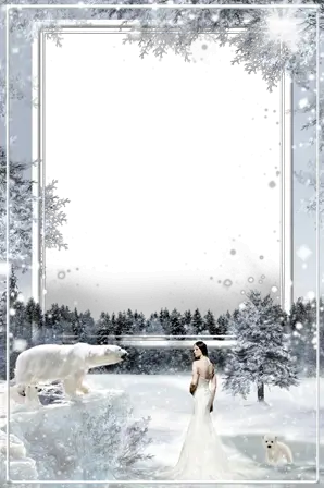 Photo frames. Frost and Cold