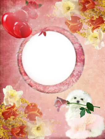 Photo frames. Puppy with rose