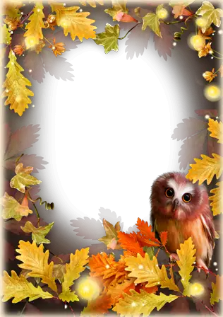Photo frames. Mysteries of the autumn forest