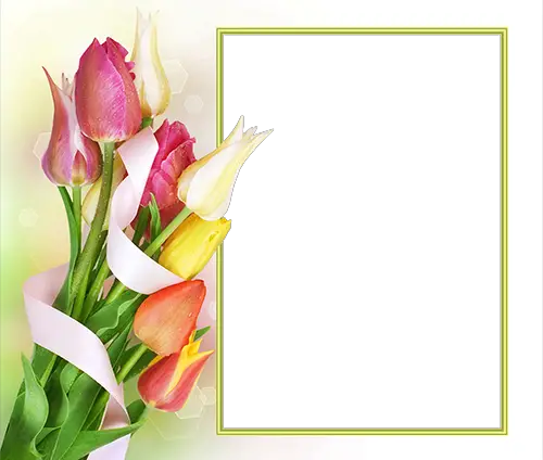 Photo frames. First delicate Spring tulips