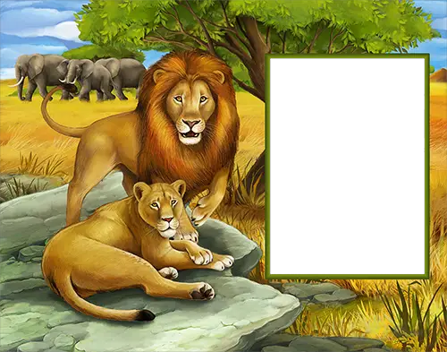 Photo frames. Lions in wild nature