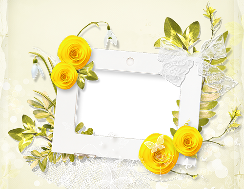 Photo frames. Bright yellow flowers