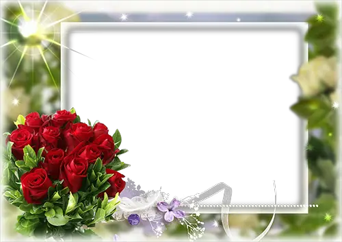 Photo frames. Wonderful bouquet of red roses